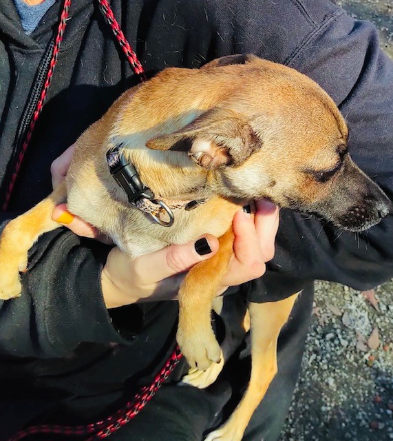 Nyla Smalls | Renee’s Rescues